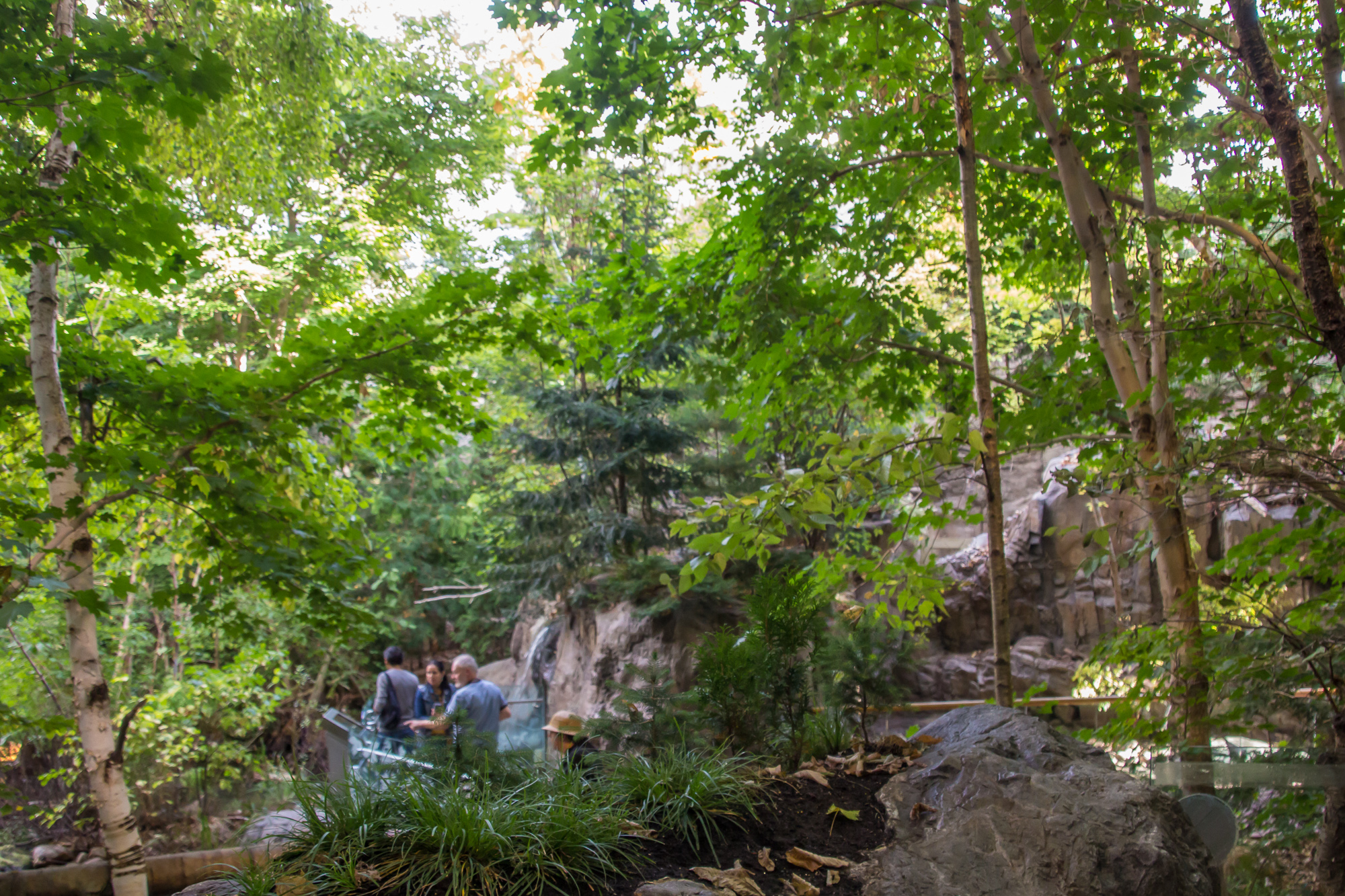 The Biodome | Fall Colors 2017